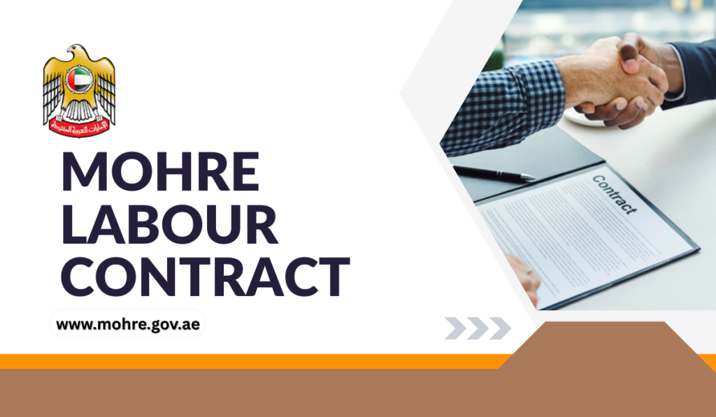 MoHRE Profession List And Professional Levels